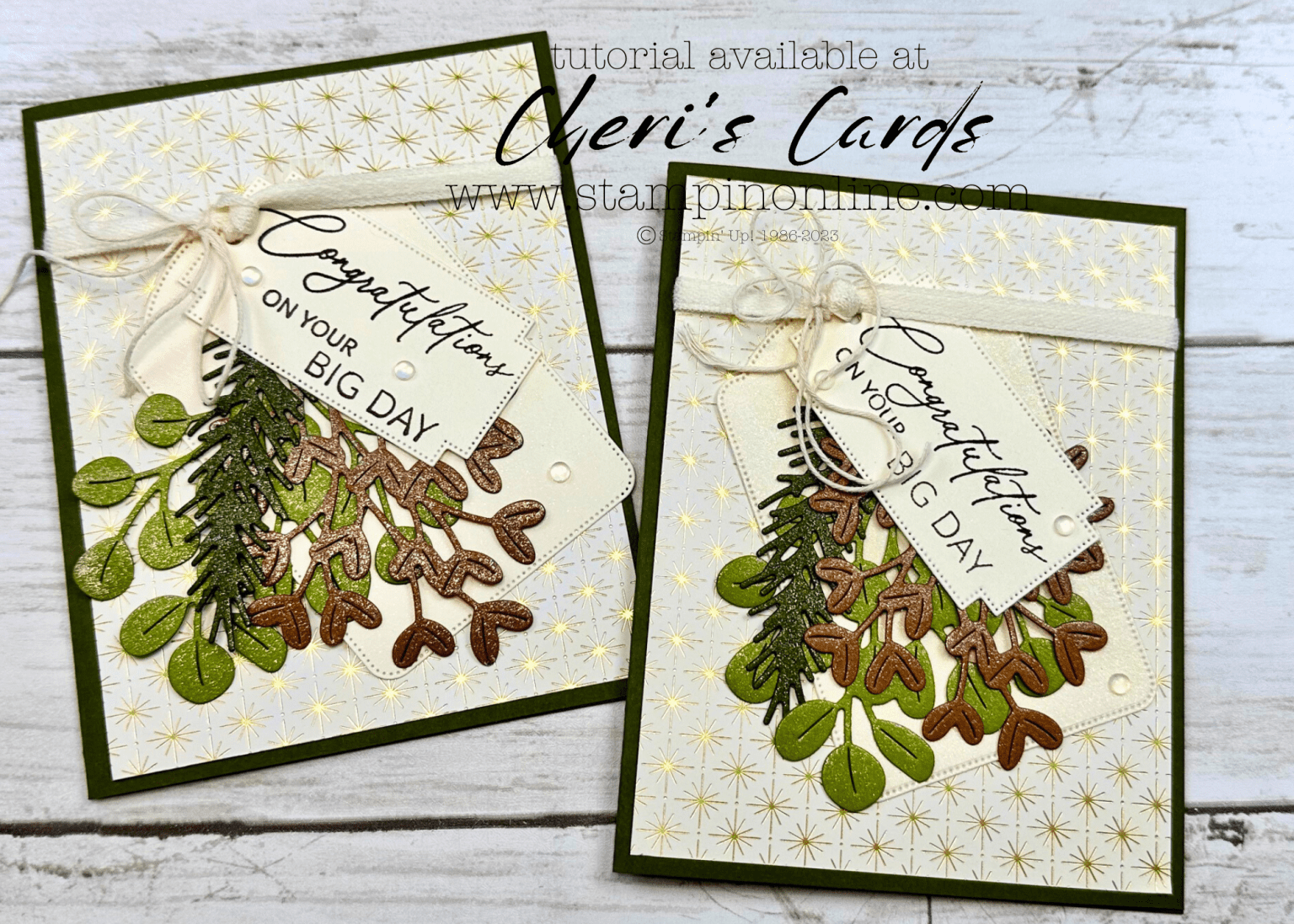 Stampin’ Up! Project Instructions and Video Tutorials Subscription ...
